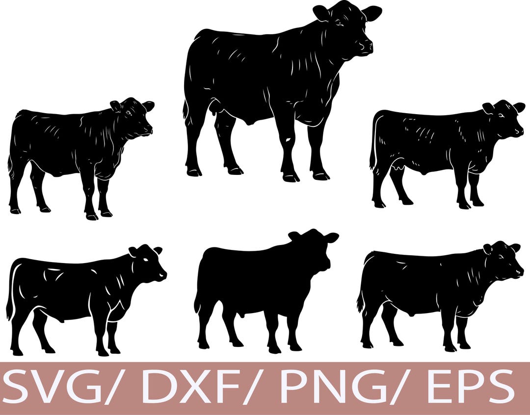 Angus Cow SVG, Cattle Cow Silhouette Bundle, Farm Livestock Bull Calf ...