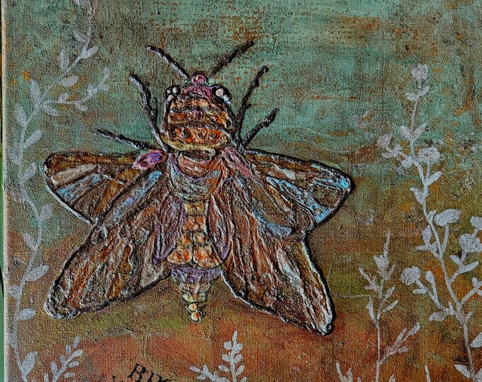 Cicada, Mixed Media, Insects - Etsy