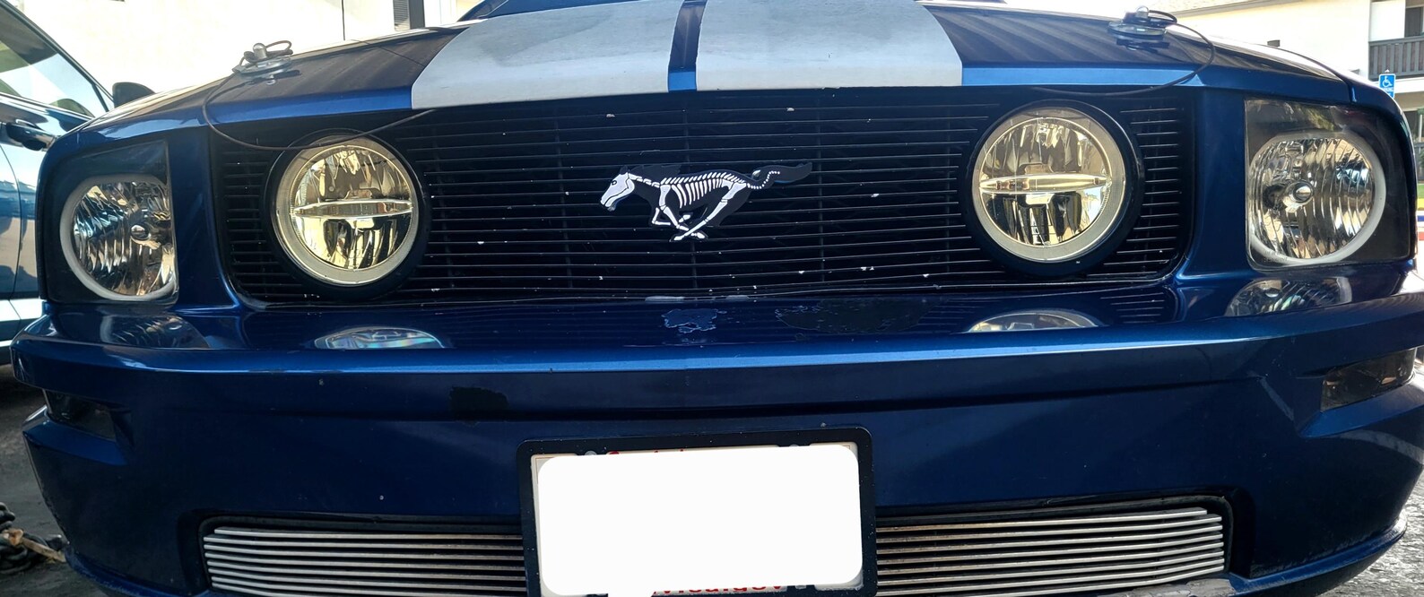Mustang Skeleton Pony Running Horse 05-09 Grille Emblem Skeleton Logo ...