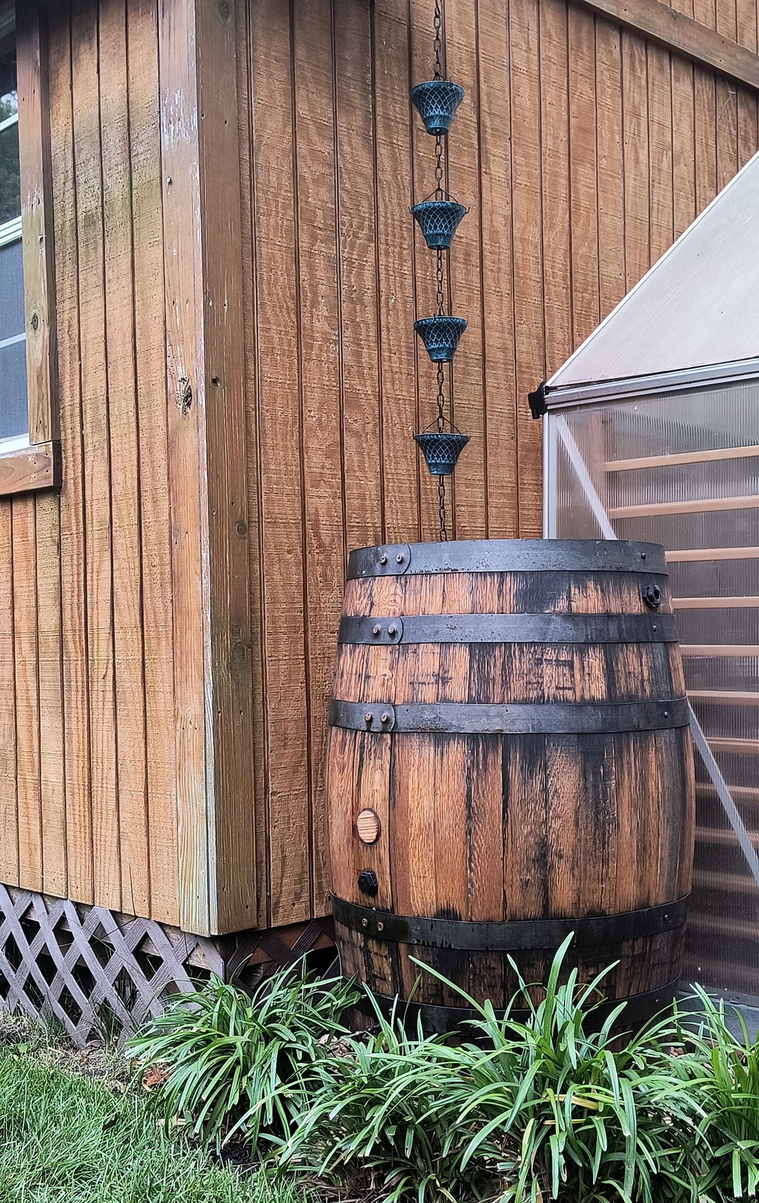 White Oak Whiskey Barrel Rain Barrel-designed for Use With Rain Chain ...