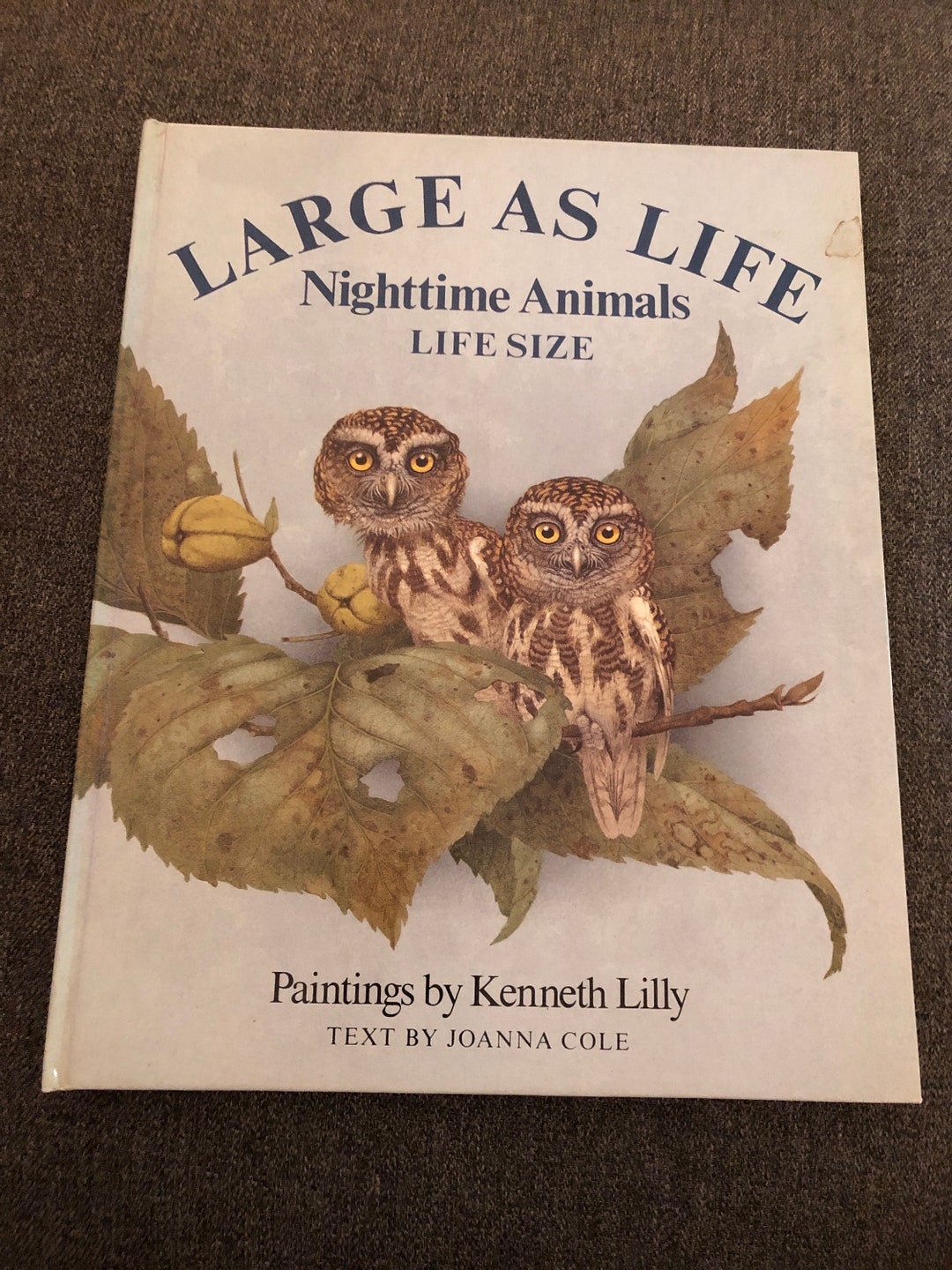 1985 Large as Life Nighttime Animals Kenneth Lilly Joanna Cole Alfred A ...