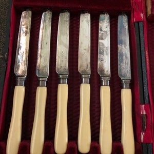 1920s Thomas Turner and Co Boxed Set of Fish Knives and Forks - Etsy