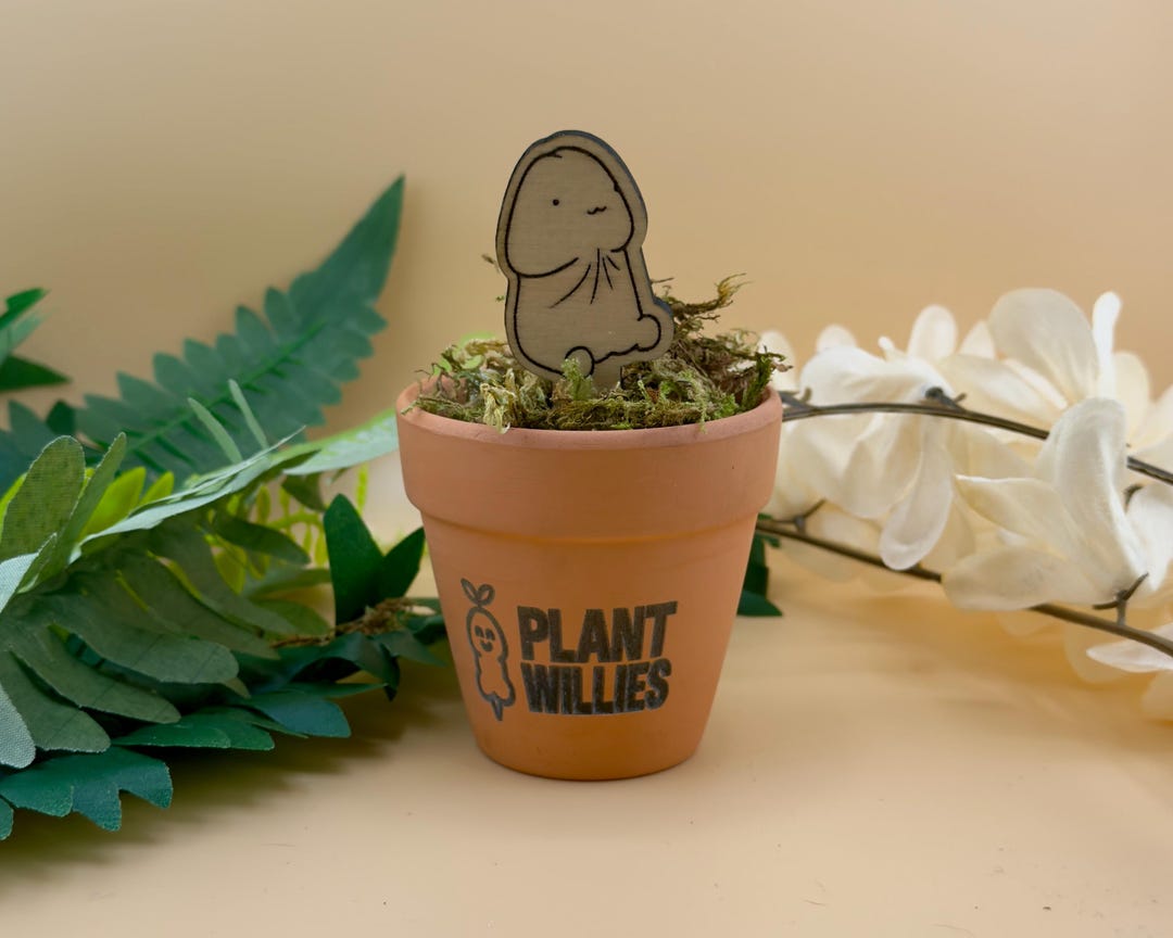 Chubby Bud Potted Willie | Wooden Plant Pal in Terracotta Pot | Funny ...