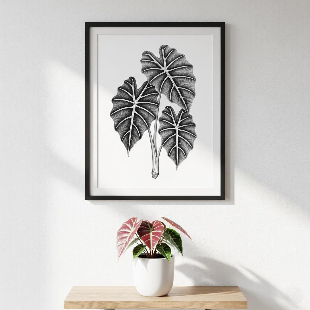 Alocasia Frydek SVG, Elephant Ear Leaf Clipart, Tropical Plant Vector ...