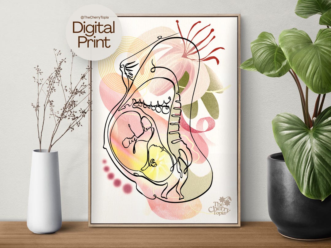 Pregnancy Anatomy Wall Art Poster – Abstract Medical Decor for Clinic ...