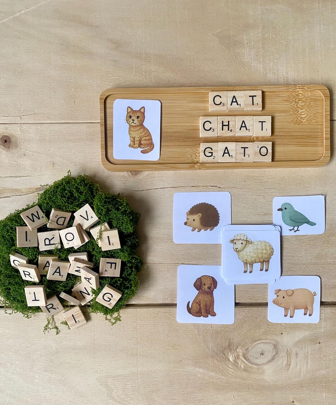 Multilingual Montessori Reading Game – Language Vocabulary Cards ...