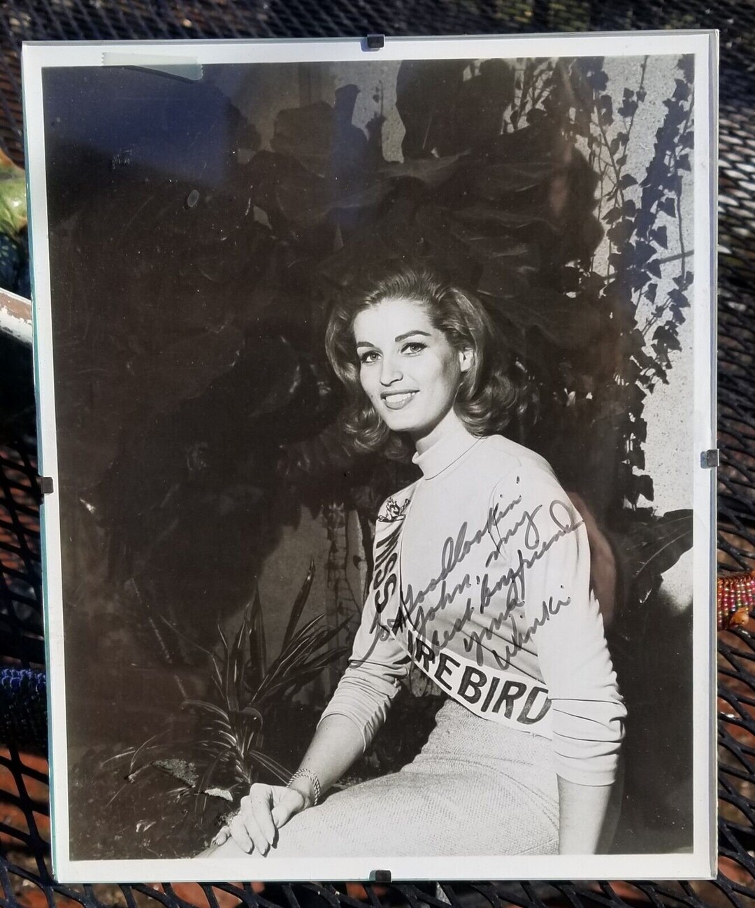 1966 24 Hours Daytona Miss Firebird Edwina "winkie" Louise Autographed ...