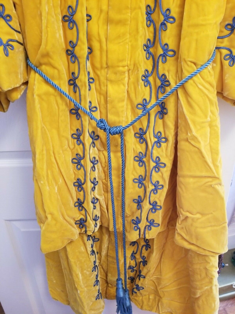 Vintage Masonic Fraternal Grand Secretary Velvet Robe Cosplay | Etsy