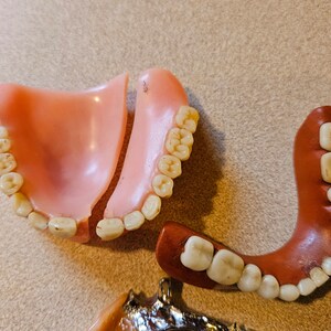Vintage Dentures False Teeth Dental Spooky Halloween Medical Oddity - Etsy
