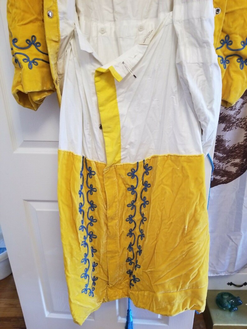 Vintage Masonic Fraternal Grand Secretary Velvet Robe Cosplay | Etsy