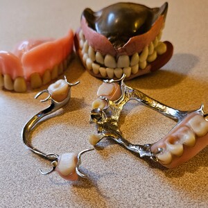Vintage Dentures False Teeth Dental Spooky Halloween Medical Oddity - Etsy