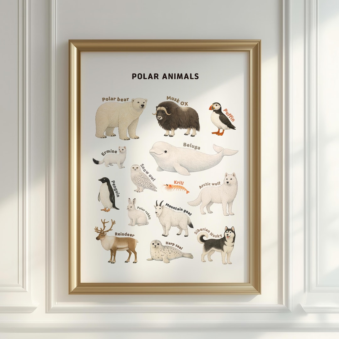 Arctic Animals Poster, Polar Habitat Print (digital Download) - Etsy