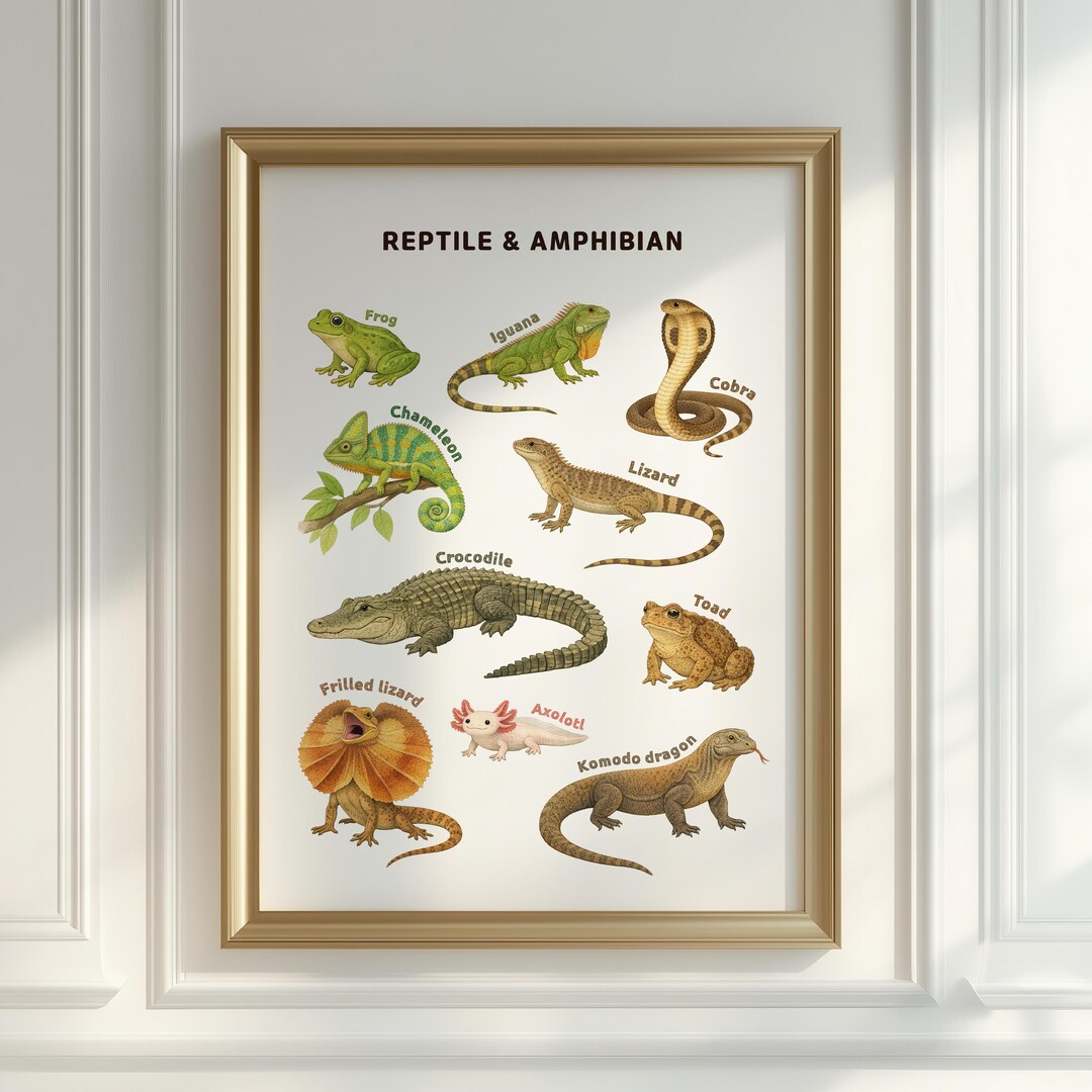 Watercolor Reptile and Amphibian Print, Montessori Nursery Art (digital ...