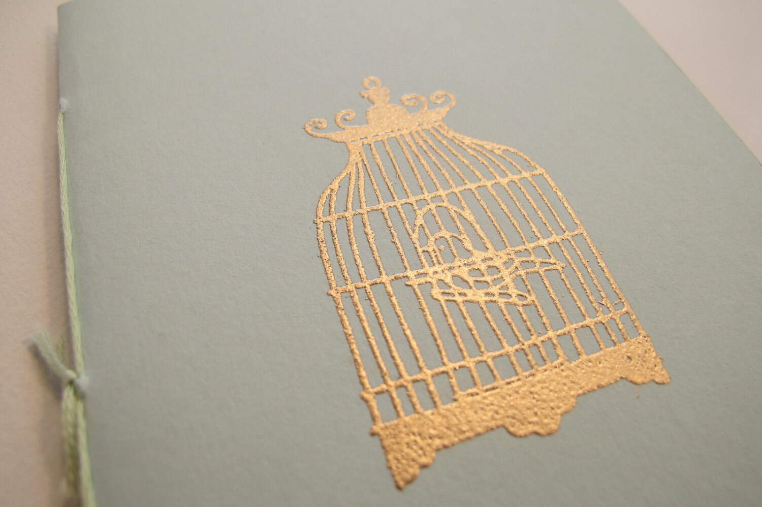 Bird Cage Pocket Notebooks: Set of Two Mint Green and Gold Embossed ...
