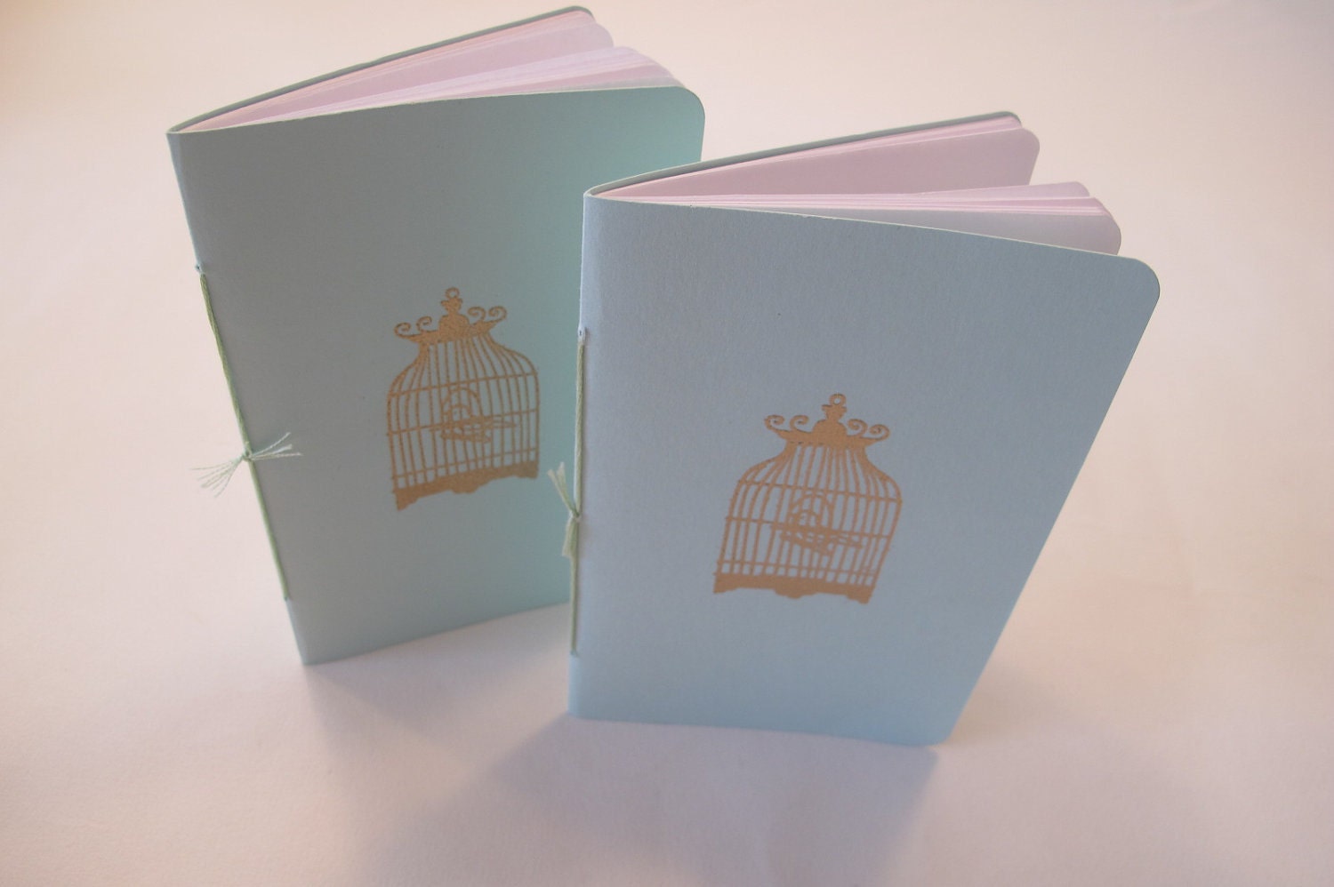 Bird Cage Pocket Notebooks: Set of Two Mint Green and Gold Embossed ...