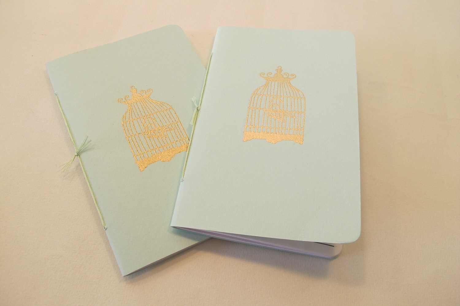 Bird Cage Pocket Notebooks: Set of Two Mint Green and Gold Embossed ...