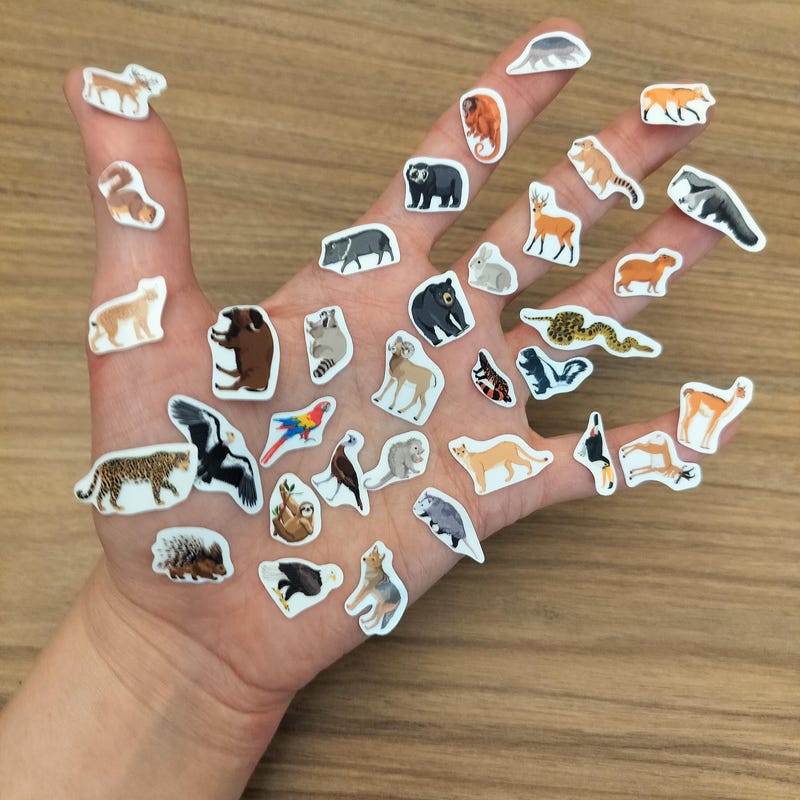 Animal Stickers - Etsy