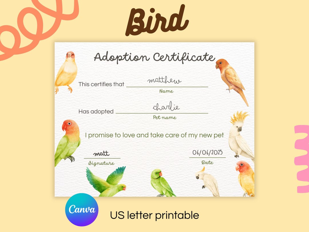 Watercolor Bird Adoption Certificate Printable, Kids Pretend Play ...