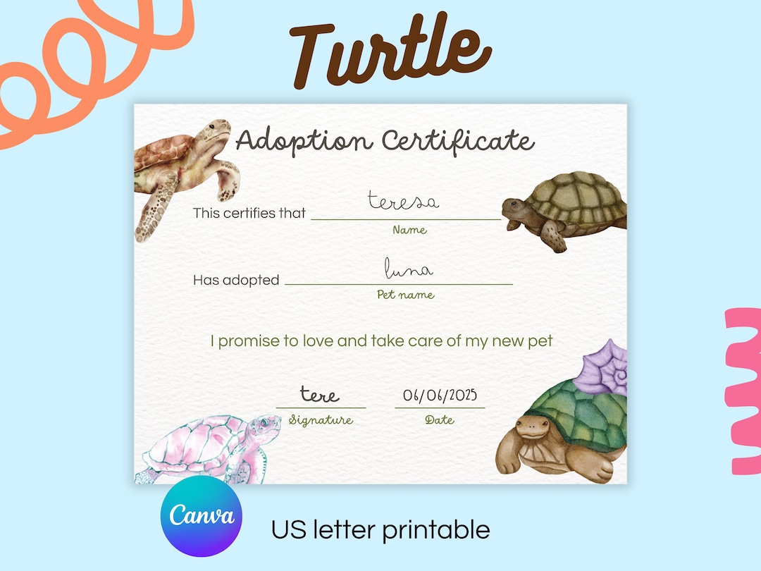 Turtle Adoption Certificate Printable for Kids Ocean Animal Adoption ...