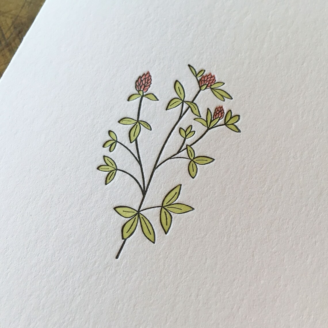 Red Clover Wildflower Letterpress Card - Etsy