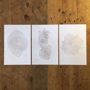 Three Sisters Topographic Map Letterpress Print - 12" X 18" - Etsy