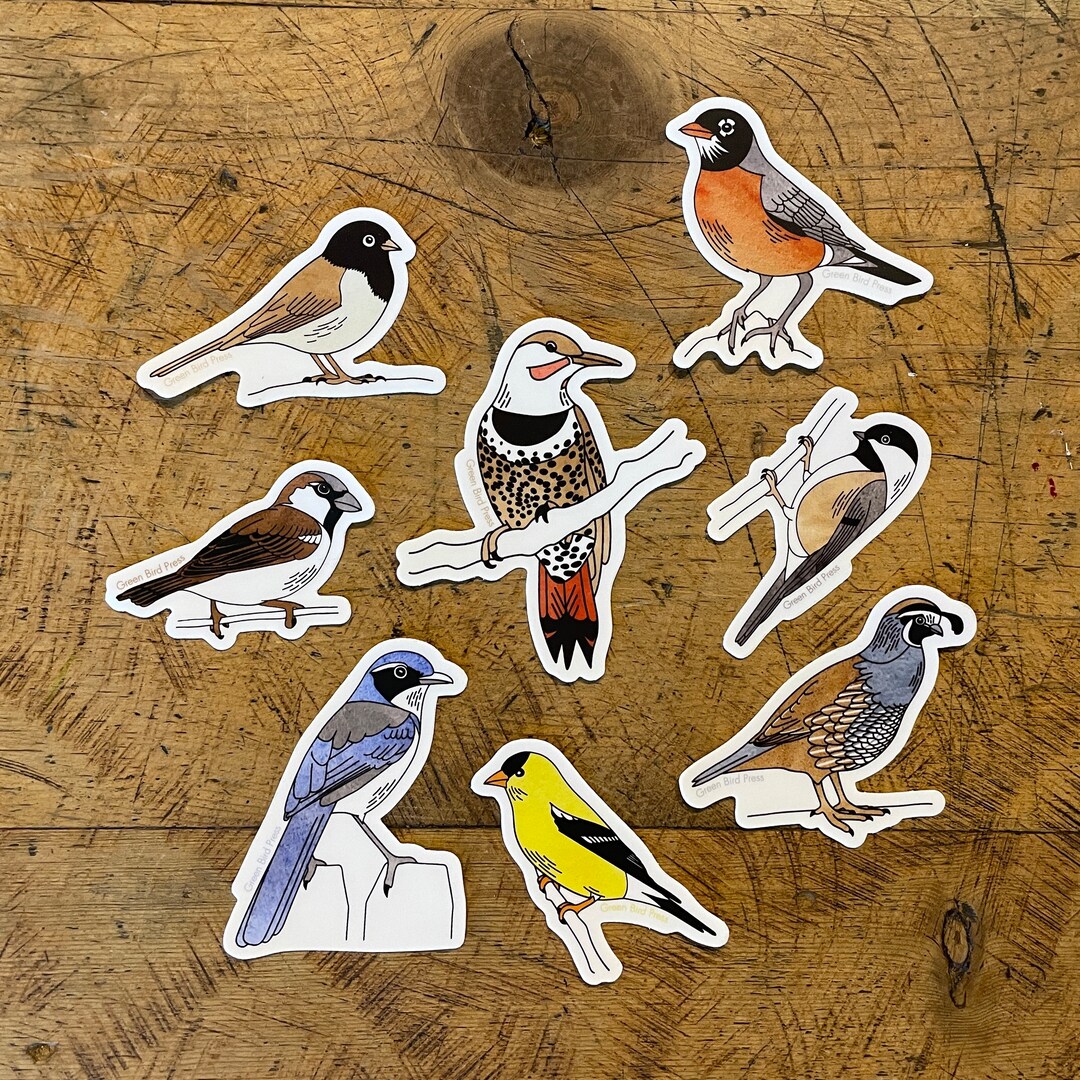 Bird Stickers - Etsy