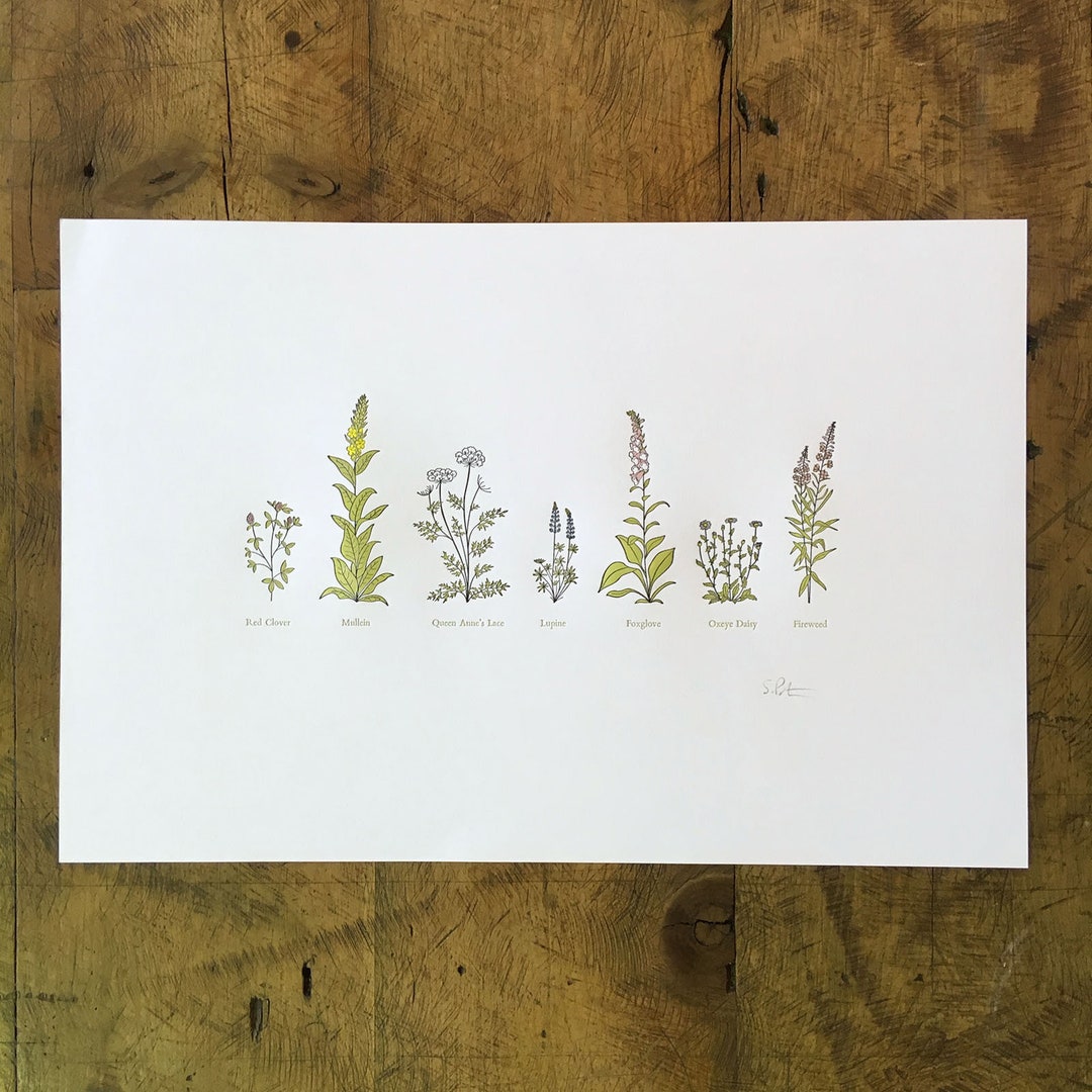 A Few Wildflowers Letterpress Print - 12" X 18" - Etsy