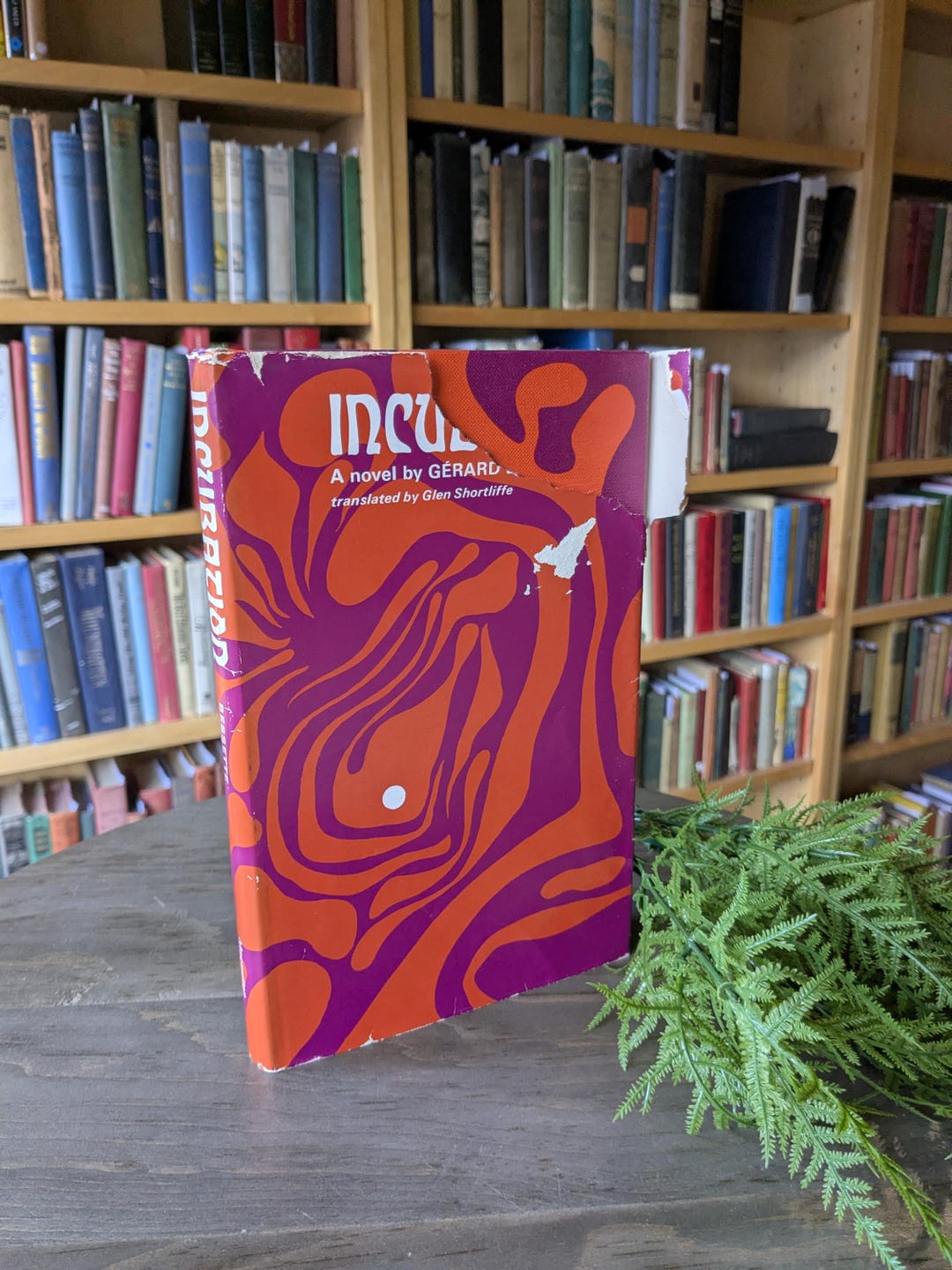Incubation by Gerard Besette - 1967 - Vintage Hardcover Book - Etsy
