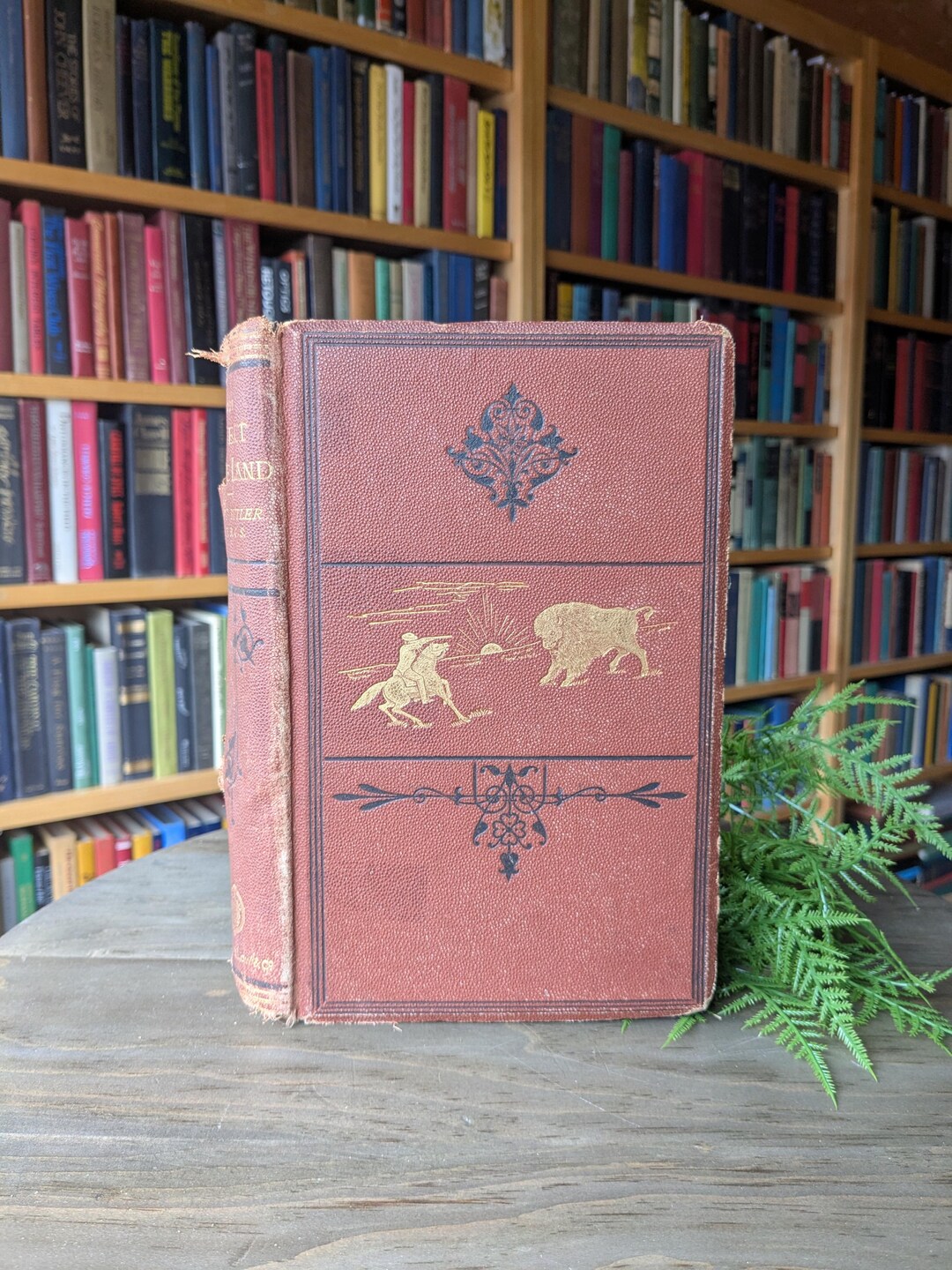 The Great Lone Land by Capt. W. F. Butler - 1872 - Second Edition ...