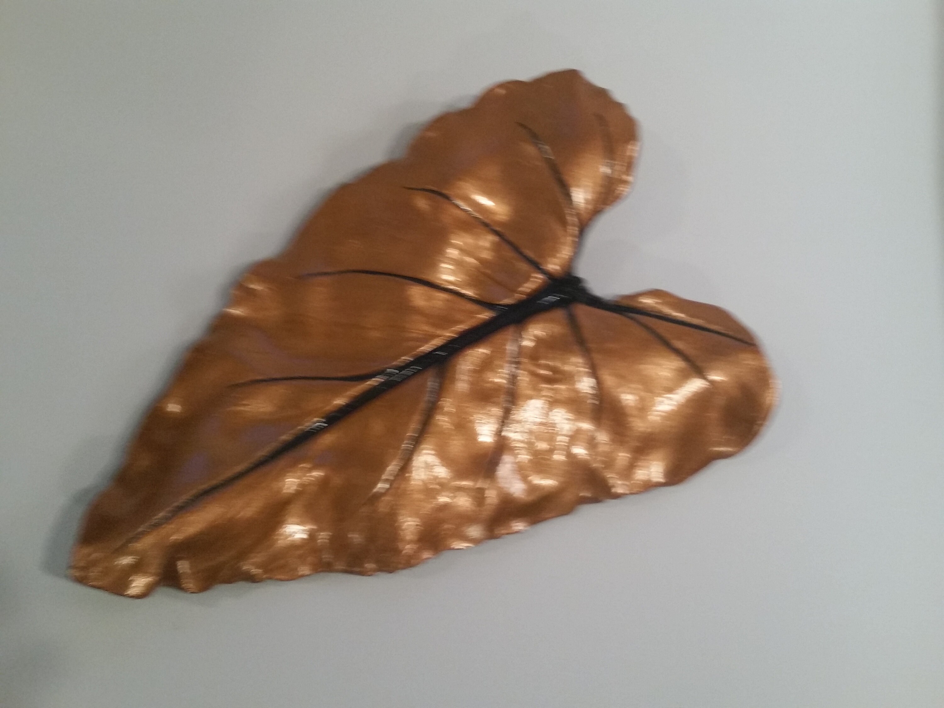 Concrete Elephant Ear Leaf Casting | Etsy