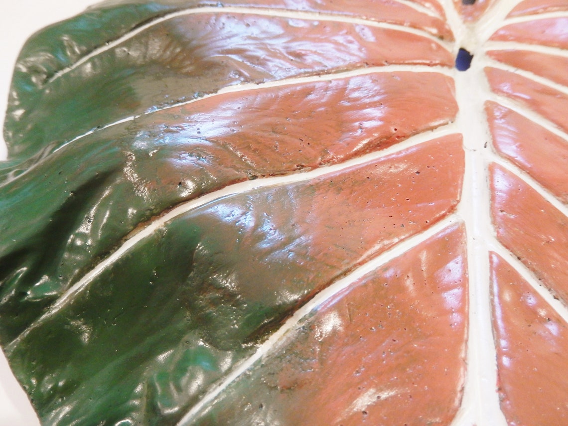 Concrete Elephant Ear Leaf Casting - Etsy