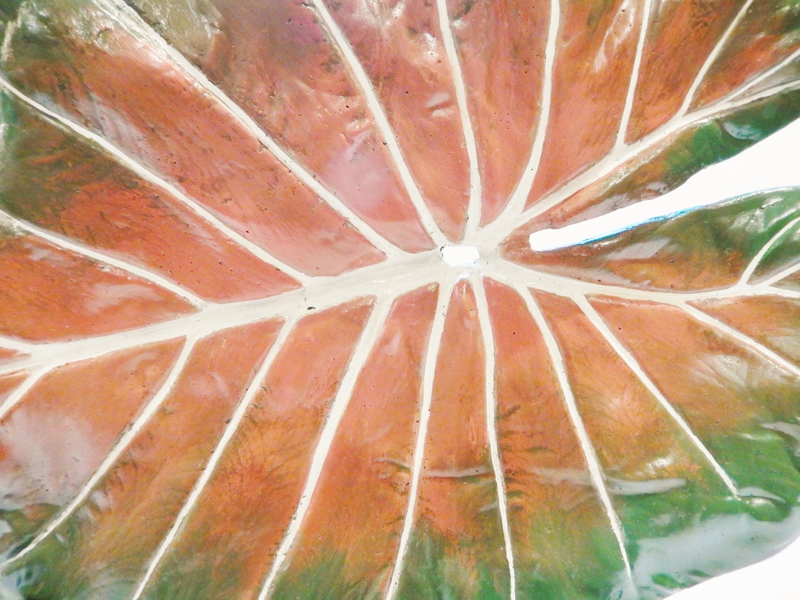 Concrete Elephant Ear Leaf Casting - Etsy