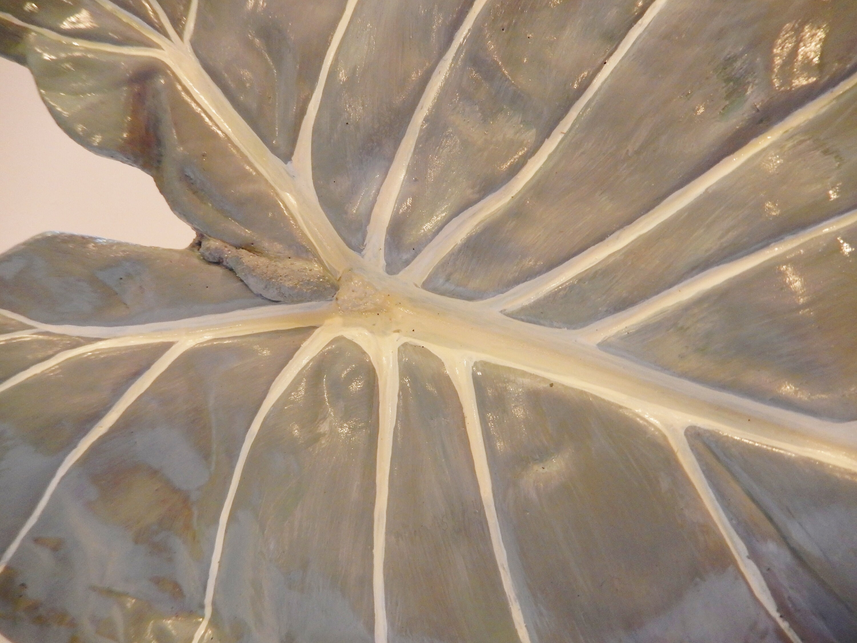 Concrete Elephant Ear Leaf Casting - Etsy