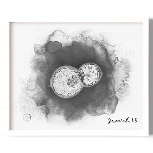 Hand Painted Watercolor Embryo Art, Baby Keepsake Print, Baby Shower ...