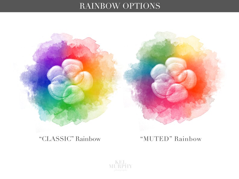 Rainbow Baby Custom IVF Embryo Art Watercolor Print | Etsy