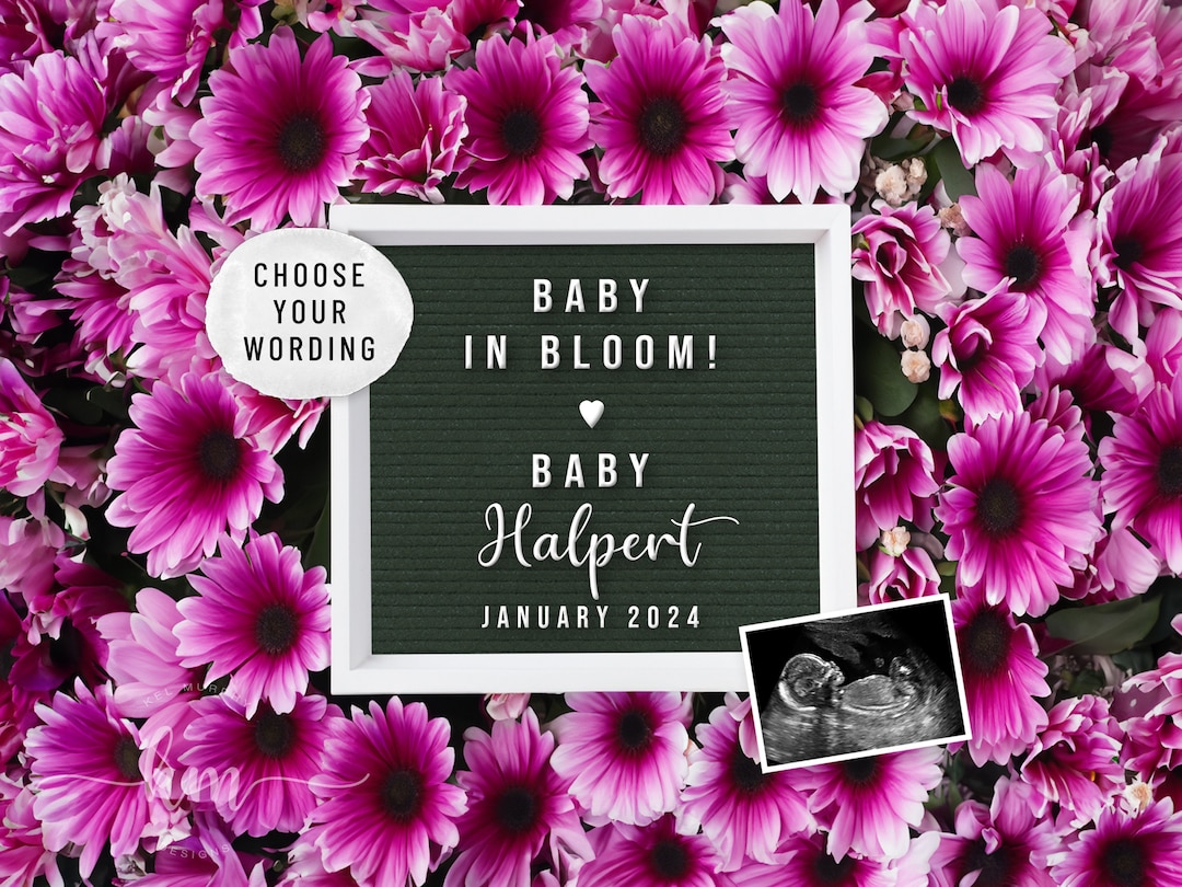 Gerbera Daisy Flowers Pregnancy Announcement Digital, Baby in Bloom ...