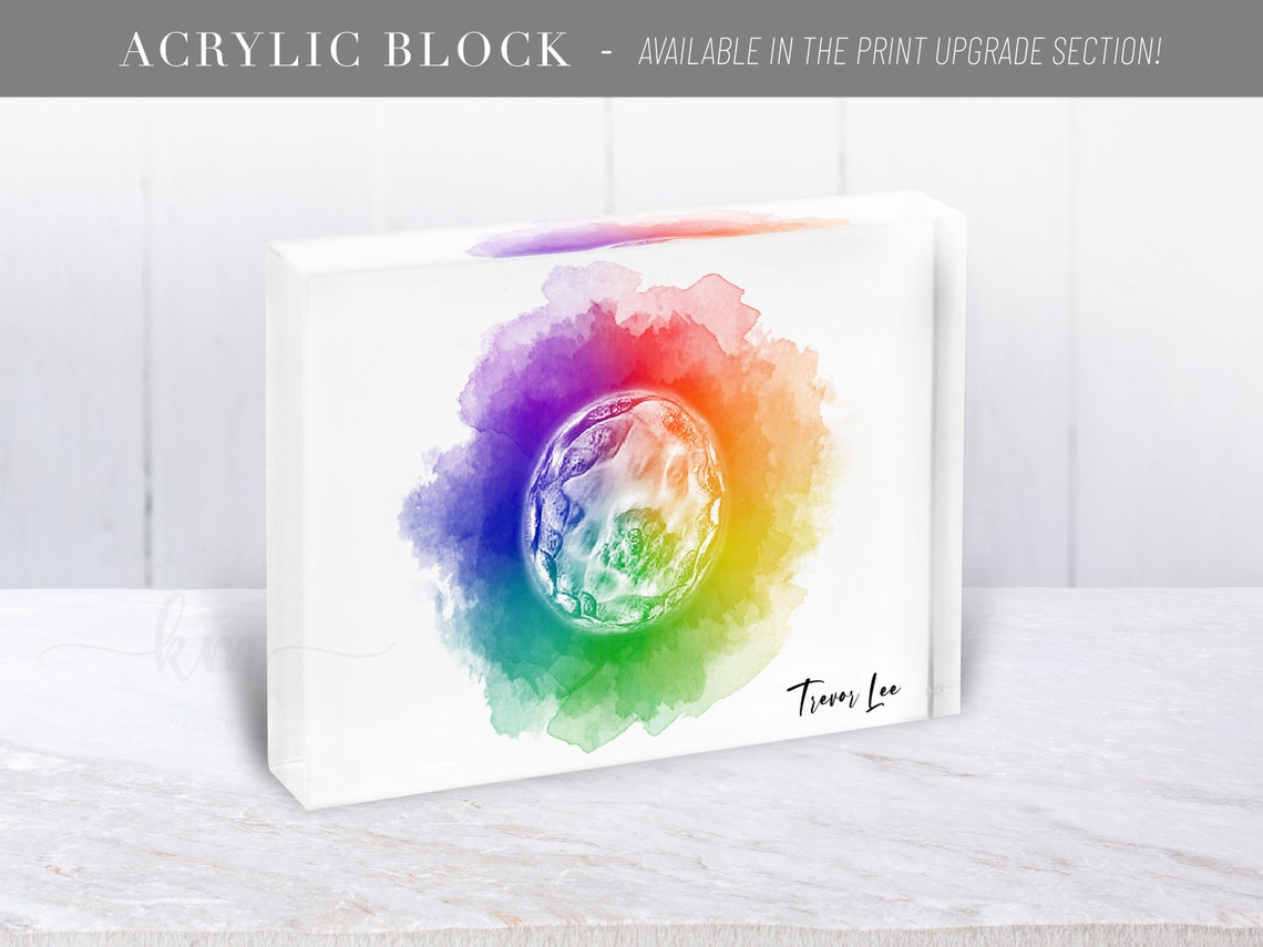 Rainbow Baby Custom IVF Embryo Art, Father's Day Gift, Baby Keepsake ...