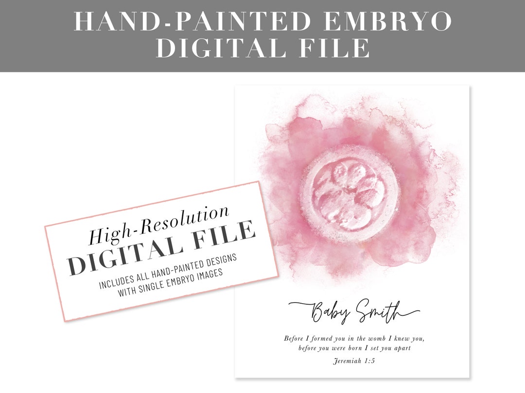 Hand-painted Embryo DIGITAL FILE - Single Image Designs! Custom IVF ...
