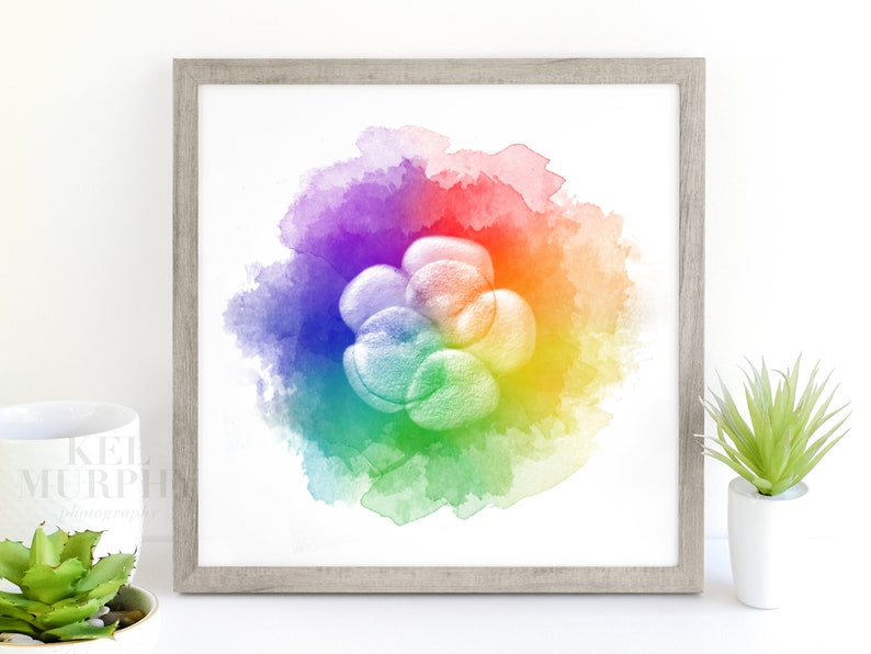 Rainbow Baby Custom IVF Embryo Art Watercolor Print | Etsy