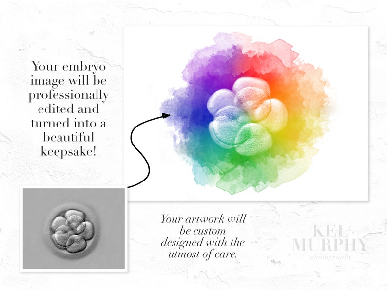 Rainbow Baby Custom IVF Embryo Art Watercolor Print | Etsy