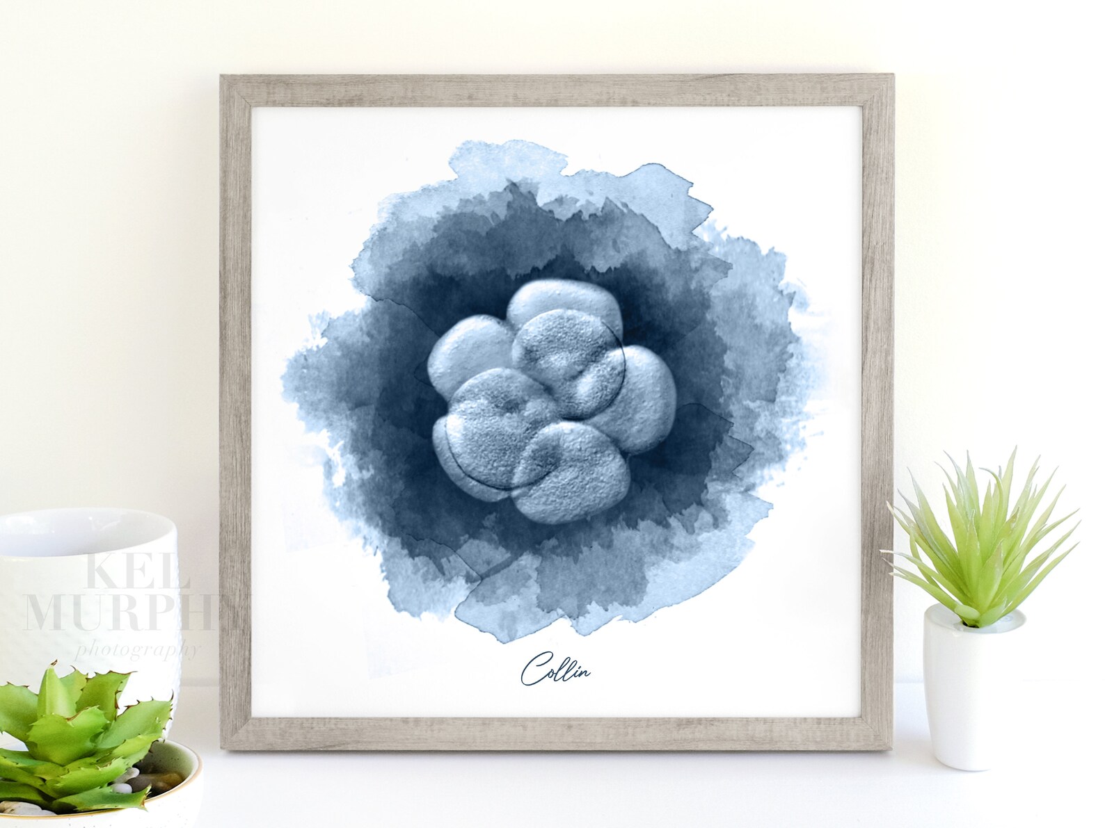 IVF Embryo Art Watercolor Fertility Print Custom Pregnancy - Etsy