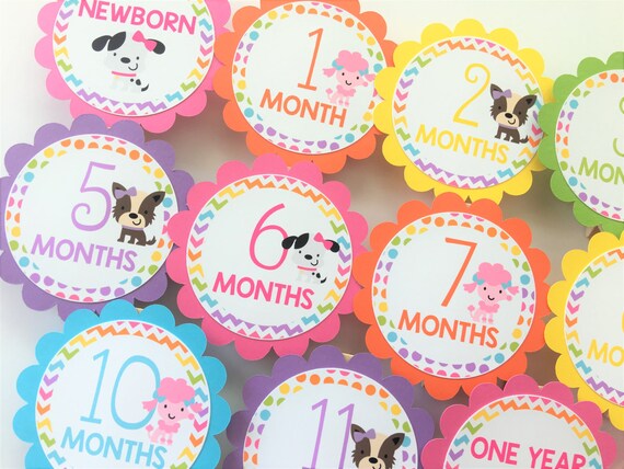 Puppy Dog Photo Banner 1st Birthday Newborn To 12 Months Banner By Sweetheart Party Shop puppy-dog-photo-banner-1st-birthday-newborn-to-12-months-banner-by-sweetheart-party-shop