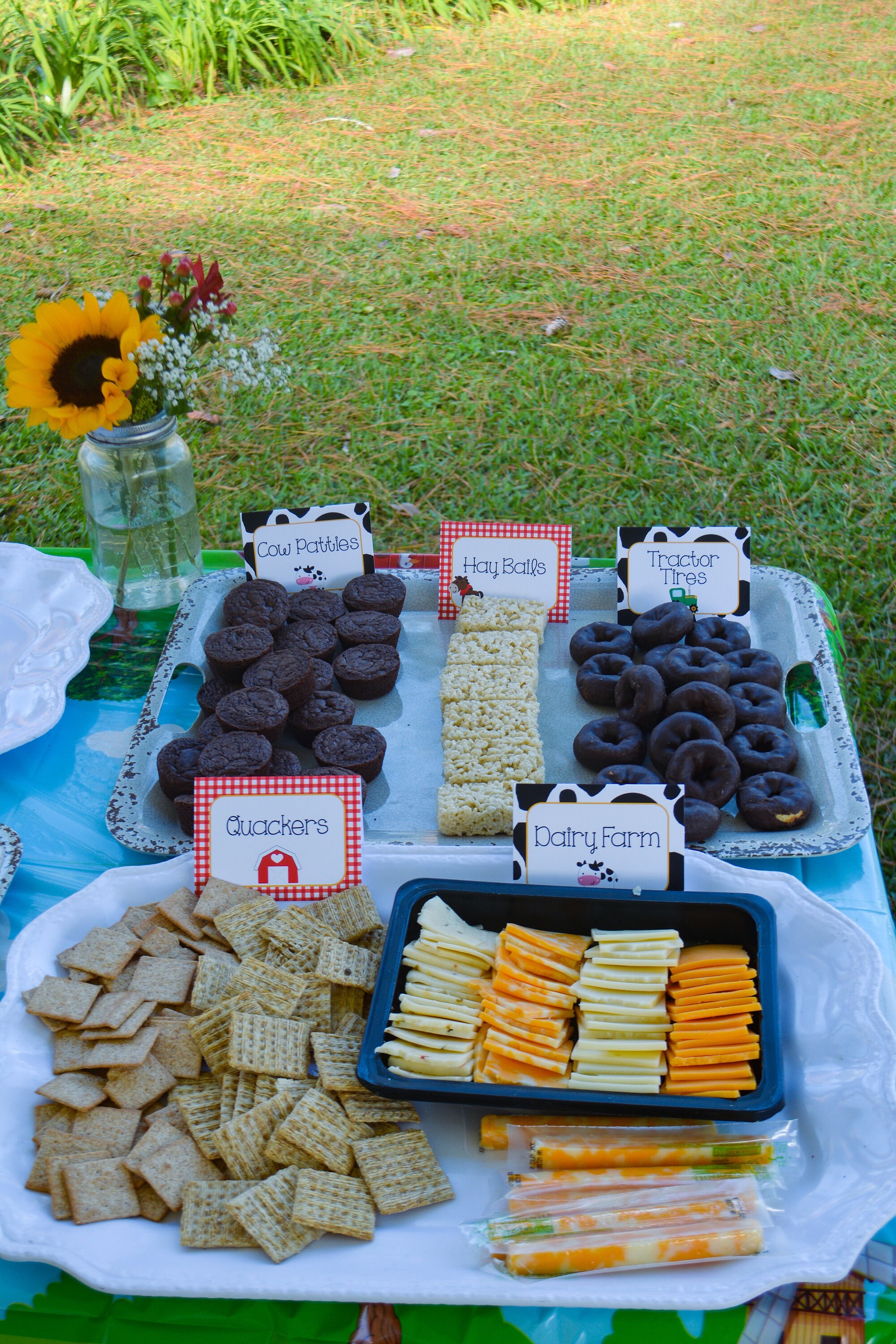 Farm Party Appetizers