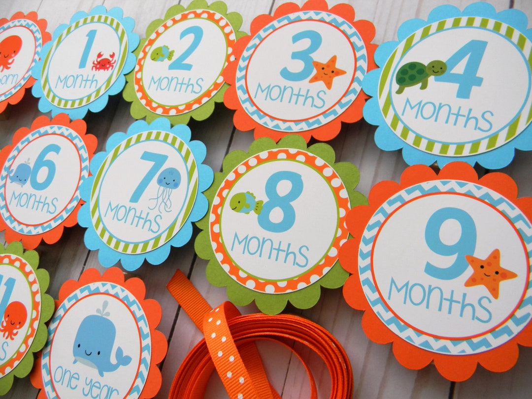 Under the Sea 12 Month Photo Banner, Under the Sea First Birthday Photo ...