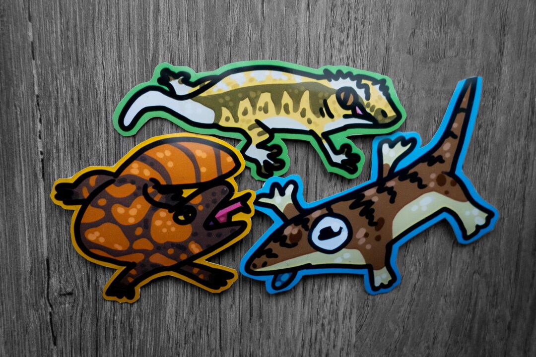 Reptile Sticker Mix Gecko Gila Monster Skink Terraium Pet Set - Etsy