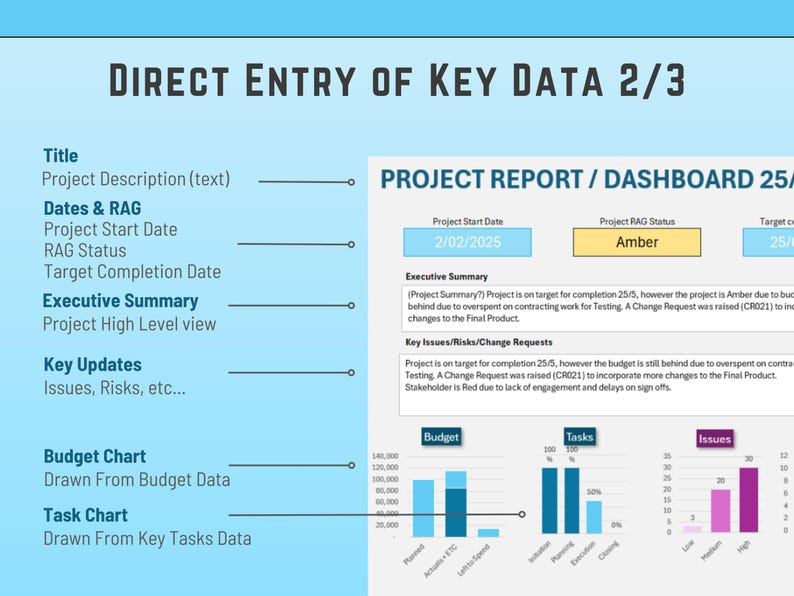 Excel Project Dashboard Template, Project Status Report (digital ...