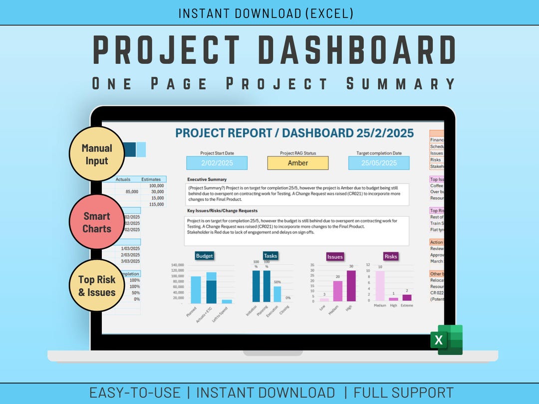 Excel Project Dashboard Template, Project Status Report (digital ...