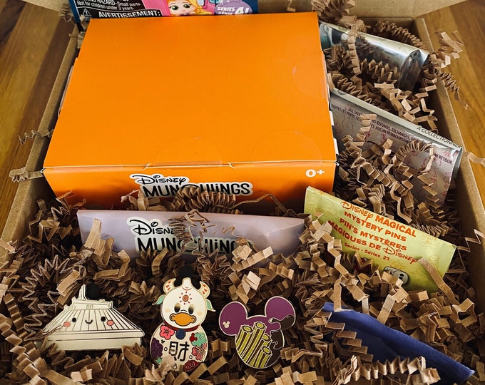 Disney, Disney Surprise Box, Disney Gift, Girls Birthday Gift, Boys ...