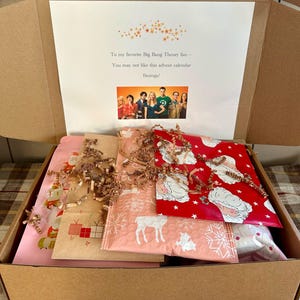 Big Bang Theory Gift Box Big Bang Theory Advent Calendar Big Bang ...