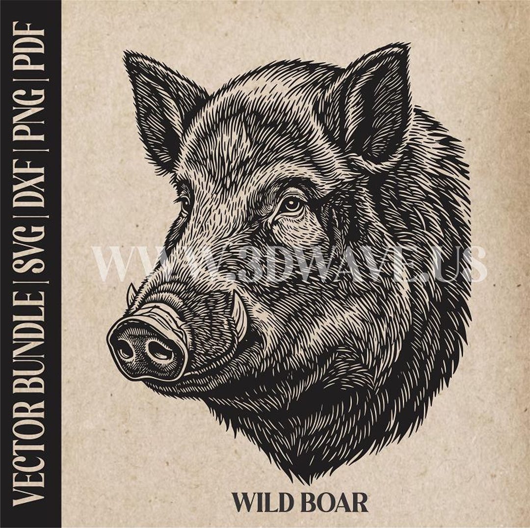 Wild Boar Vector Art: Laser Cut Files for Cricut, Glowforge SVG ...
